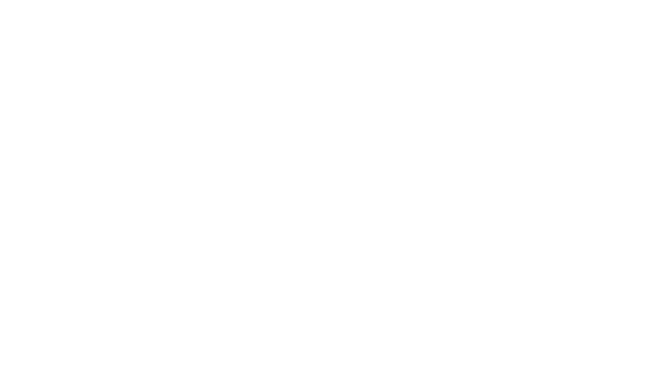 Mini Evolution